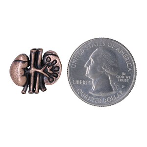 Kidneys Copper Dipped Pewter Lapel Pin - CC391C- Medical Pins for ...