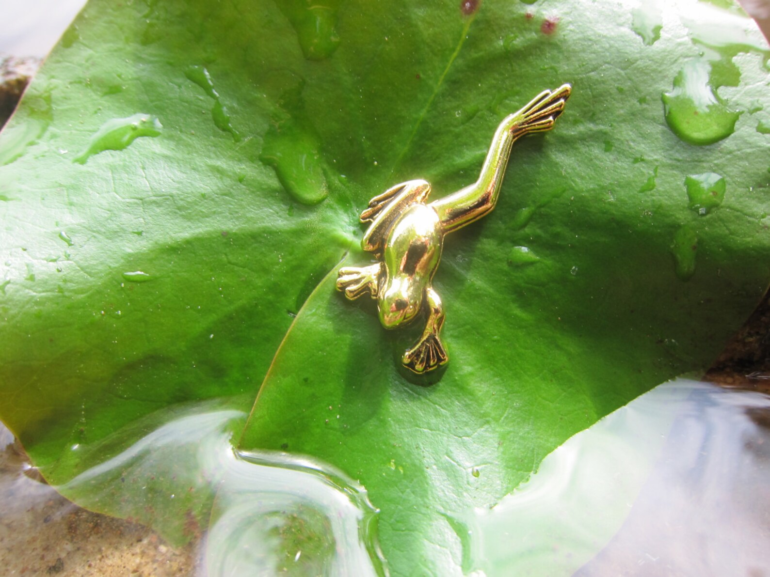 Gold Frog Lapel Pin-cc169g- Frog Gifts, Amphibeans, Rainforest, Toad ...