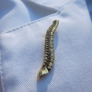 Gold Spine Lapel Pin- CC518G- Chiropractor, Medical and Anatomy Lapel ...