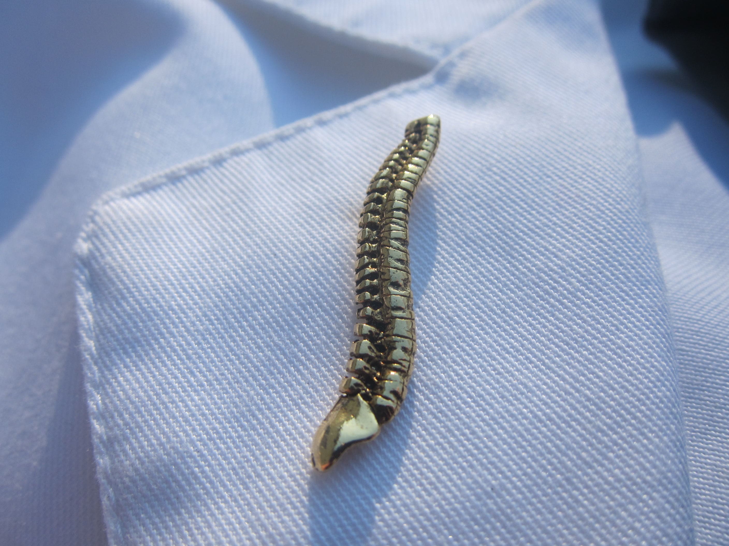 Gold Spine Lapel Pin CC518G Chiropractor Medical and - Etsy