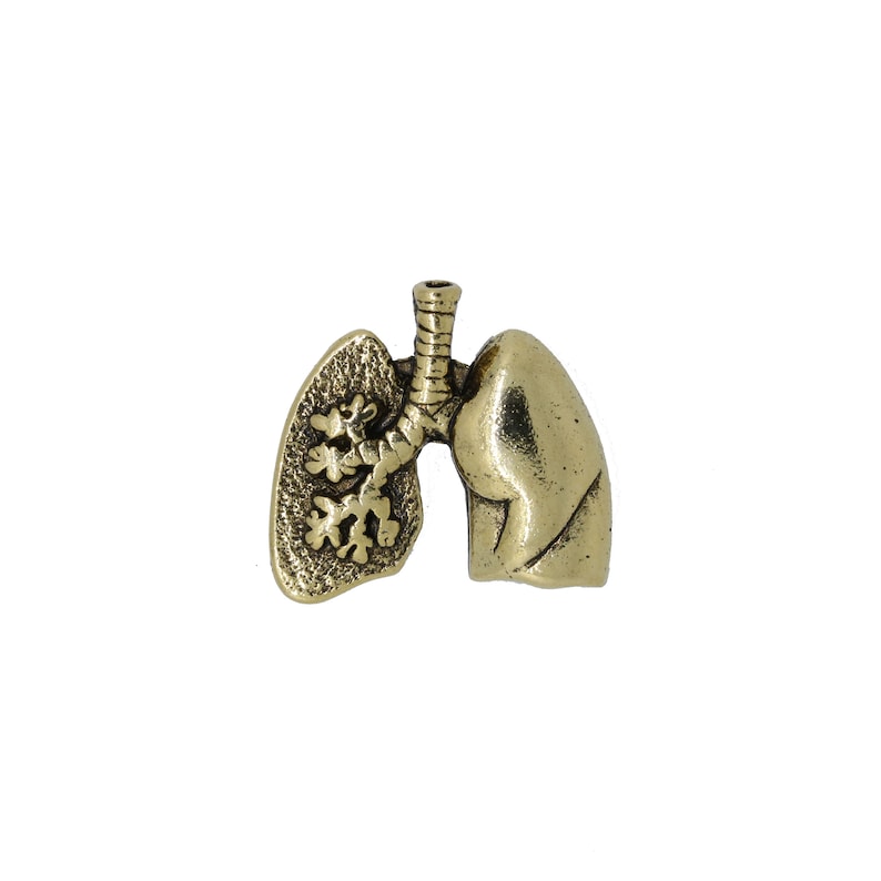 Gold Lung Lapel Pin – Anatomical Medical Accessory, Doctor Nurse Gift ...
