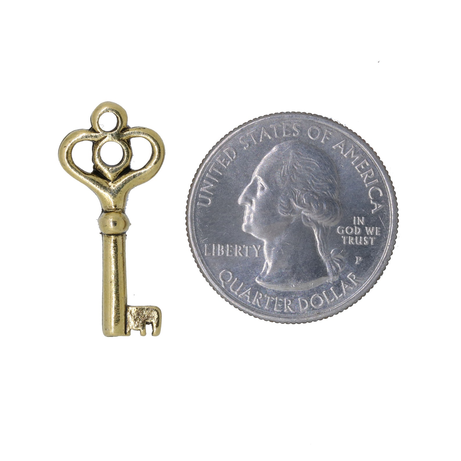 Gold Skeleton Key Lapel Pin CC417G Skeleton Key Passkey - Etsy
