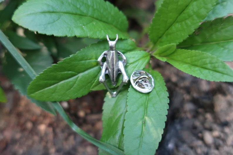 Grasshopper Lapel Pin CC345 Insect Bug Cricket and Locust - Etsy