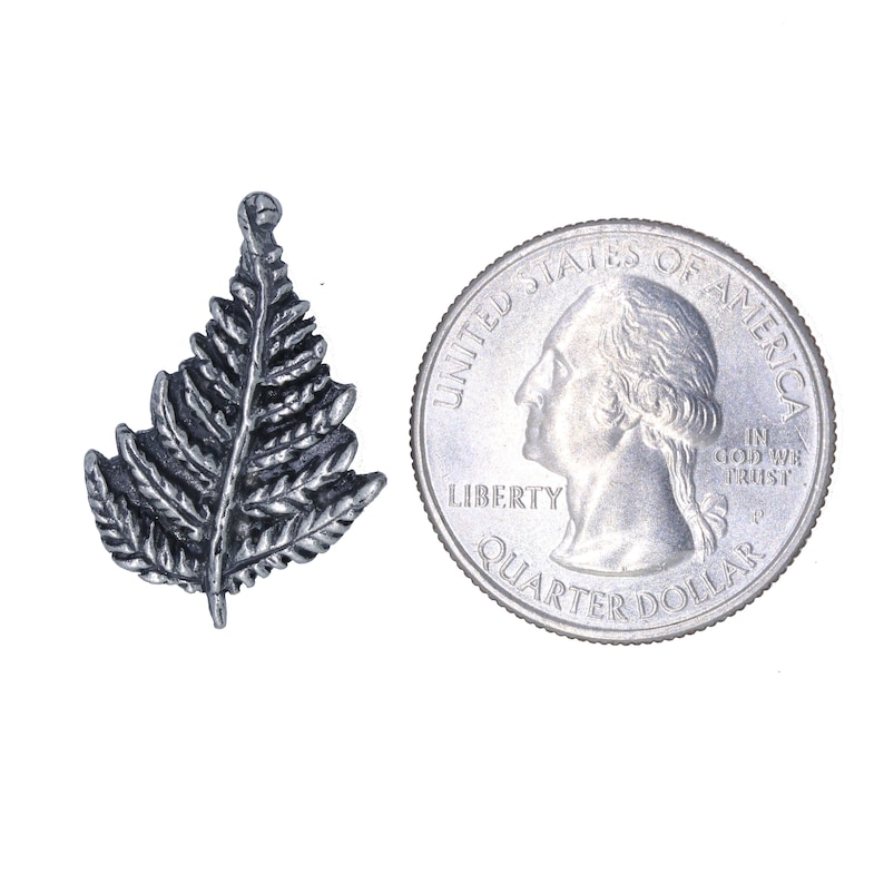 Fern Lapel Pin - CC496- Plant and Garden Gifts, Pins for Gardeners - Etsy
