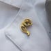 Gold Stomach Lapel Pin- CC619G- Medical and Anatomy Pins- Digestion and ...