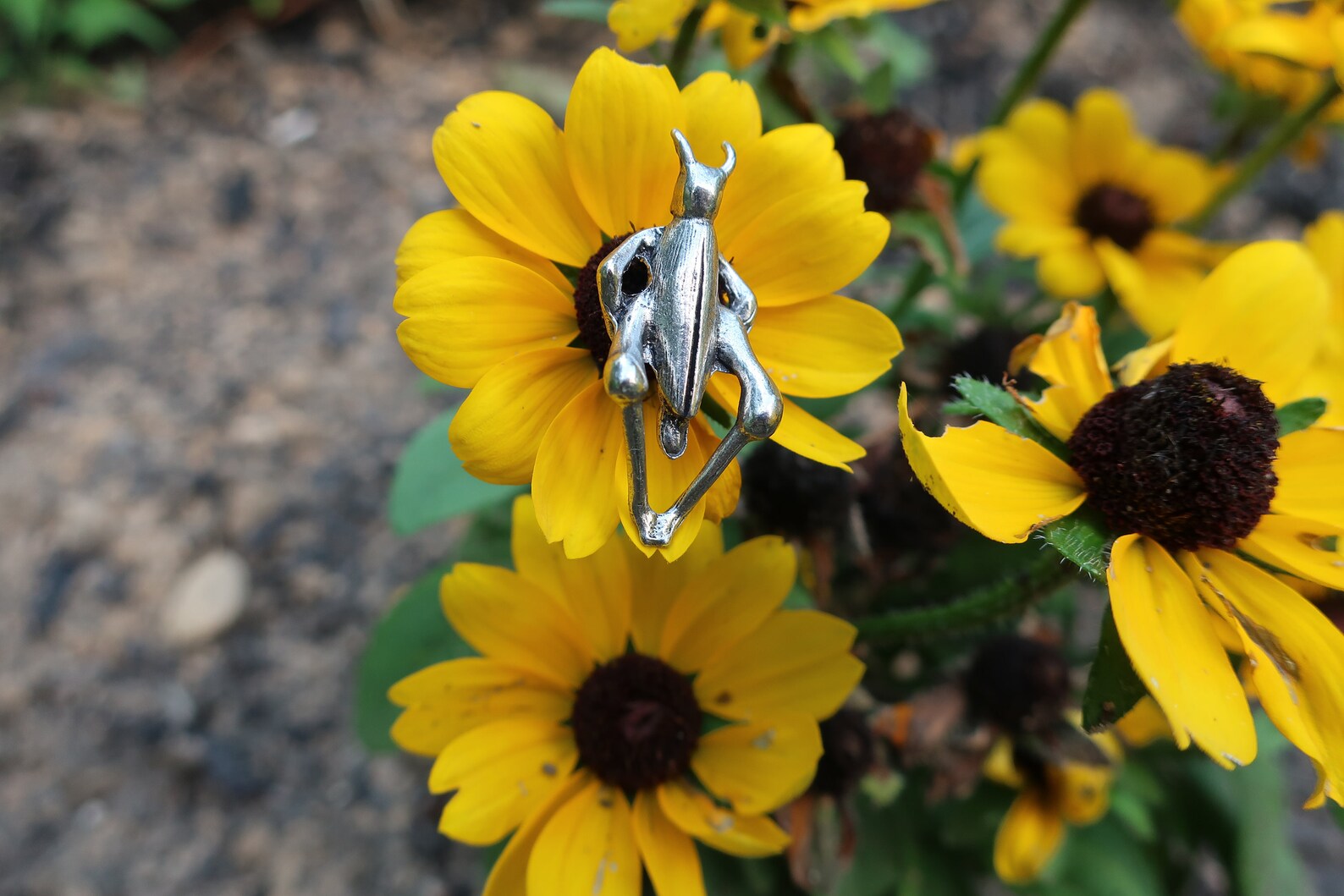 Grasshopper Lapel Pin CC345 Insect Bug Cricket and Locust | Etsy