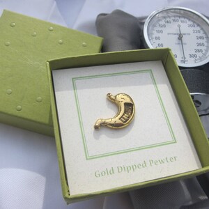 Gold Stomach Lapel Pin- CC619G- Medical and Anatomy Pins- Digestion and ...