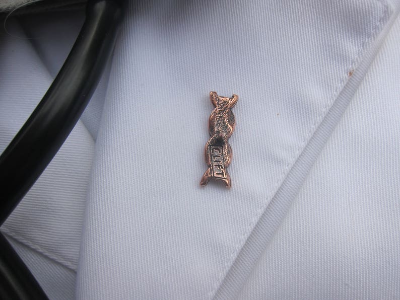 Copper DNA Lapel Pin- CC577C- Science and Genetics Pins and Gifts - Etsy