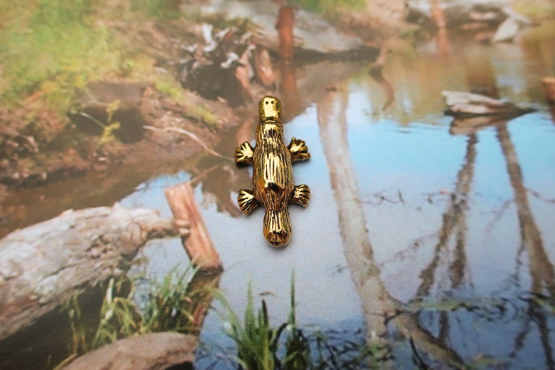 Gold Platypus Lapel Pin- CC434G- Duck Billed Platypus, Australia ...