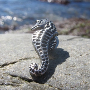 Seahorse Lapel Pin - CC589 - Aquarium, Marine, and Sea Animal Pins ...