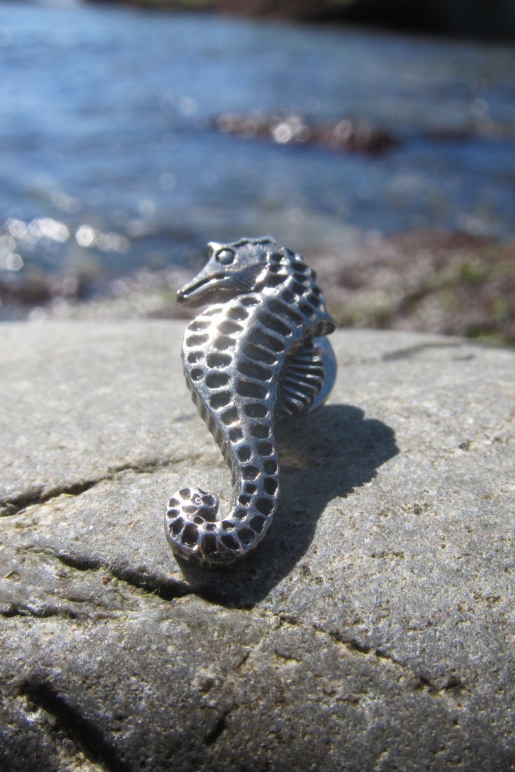 Seahorse Lapel Pin CC589 Aquarium Marine and Sea Animal | Etsy