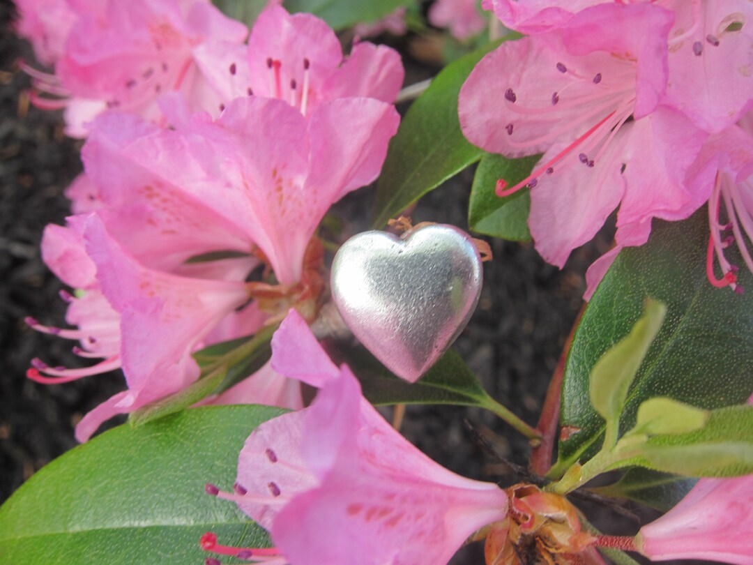Heart Lapel Pin- CC367- Heart, Love, Valentine's, and Sweetheart Pins ...