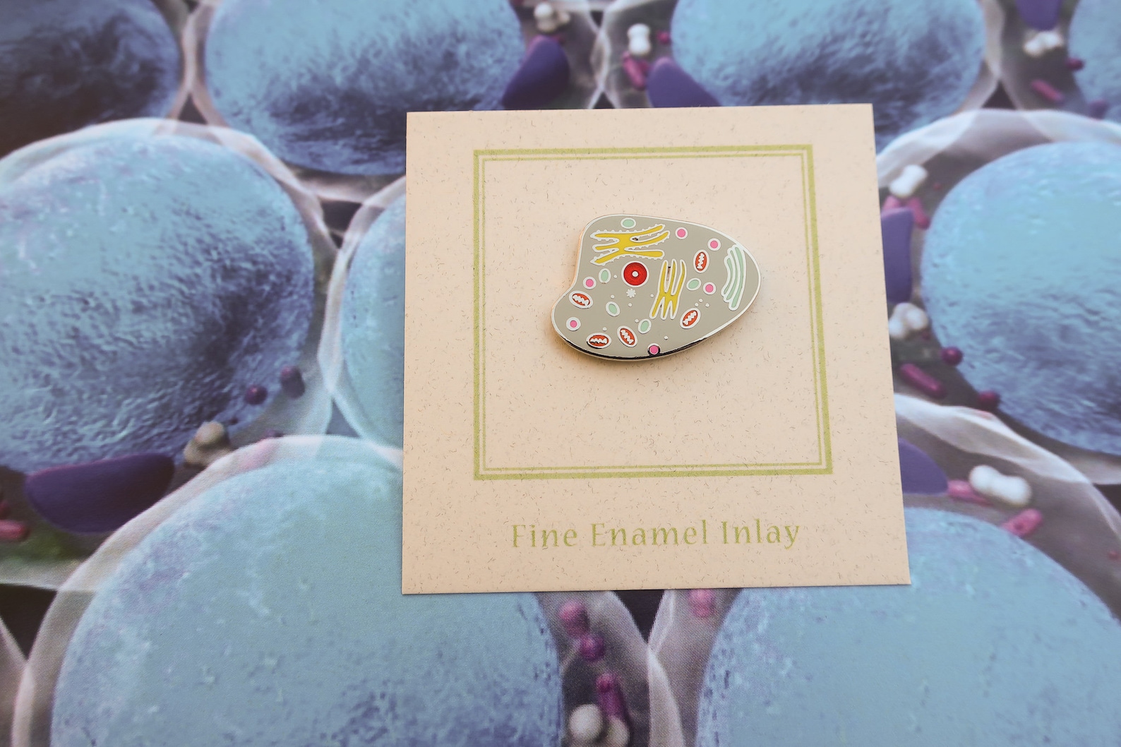 Animal Cell Enamel Inlay Lapel Pin- EP105- Animal Cell, Animal Biology ...