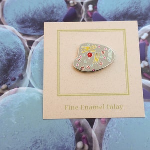 Animal Cell Enamel Inlay Lapel Pin- EP105- Animal Cell, Animal Biology ...
