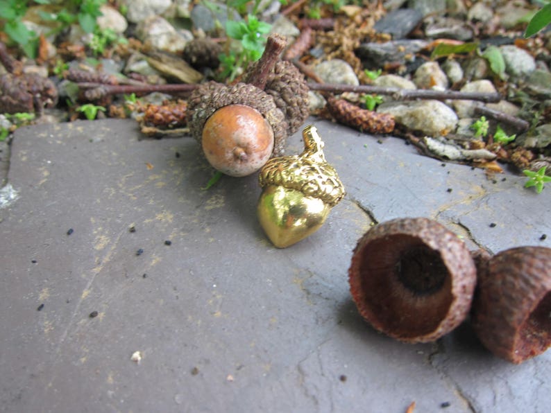 Gold Acorn Lapel Pin-cc292g Nature Woods Hiking Acorn and | Etsy