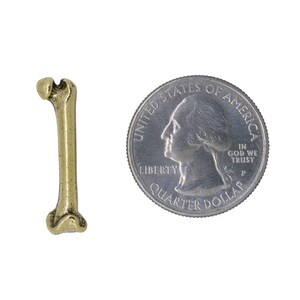 Gold Femur Lapel Pin- CC510G- Anatomy and Anatomical Pins- Leg Bone ...