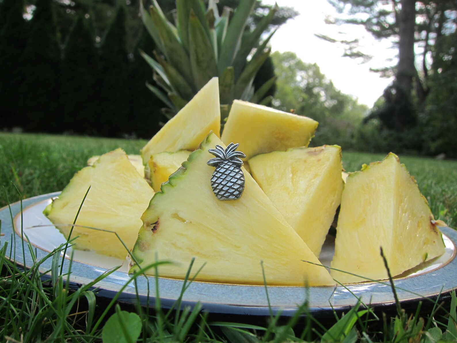 Pineapple Lapel Pin - CC111- Hospitality, Fruit, Tropical, and ...