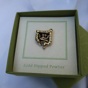Gold Intestine Lapel Pin- CC346G- Gastrointestinal Pins, Anatomy Pins ...