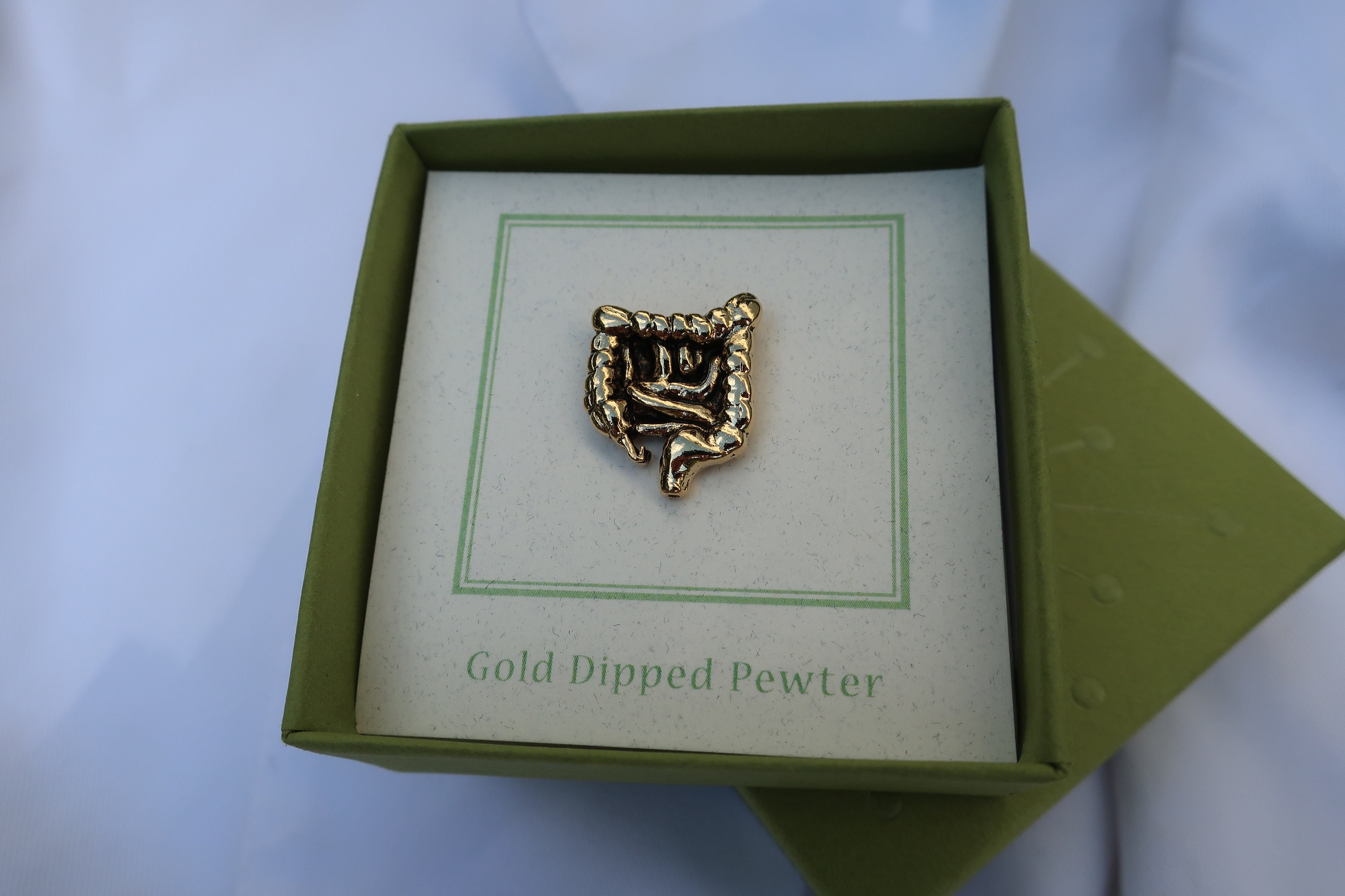 Gold Intestine Lapel Pin- CC346G- Gastrointestinal Pins, Anatomy Pins ...