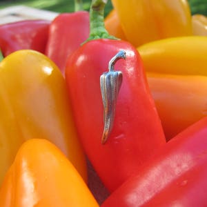 Chili Pepper Lapel Pin - CC203- Chile, Peppers, Chili Pepper, Spicy ...