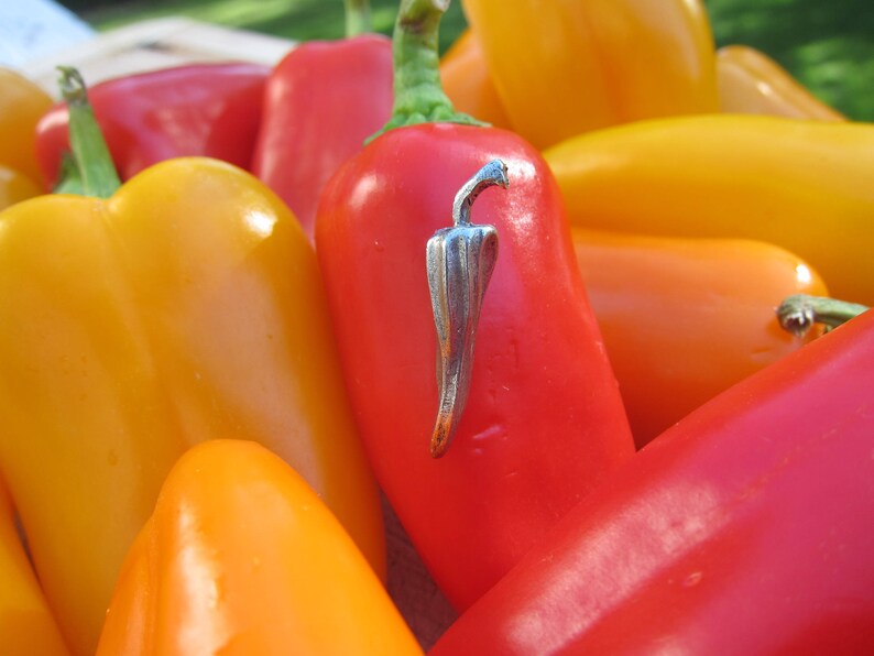 Chili Pepper Lapel Pin CC203 Chile Peppers Chili Pepper - Etsy