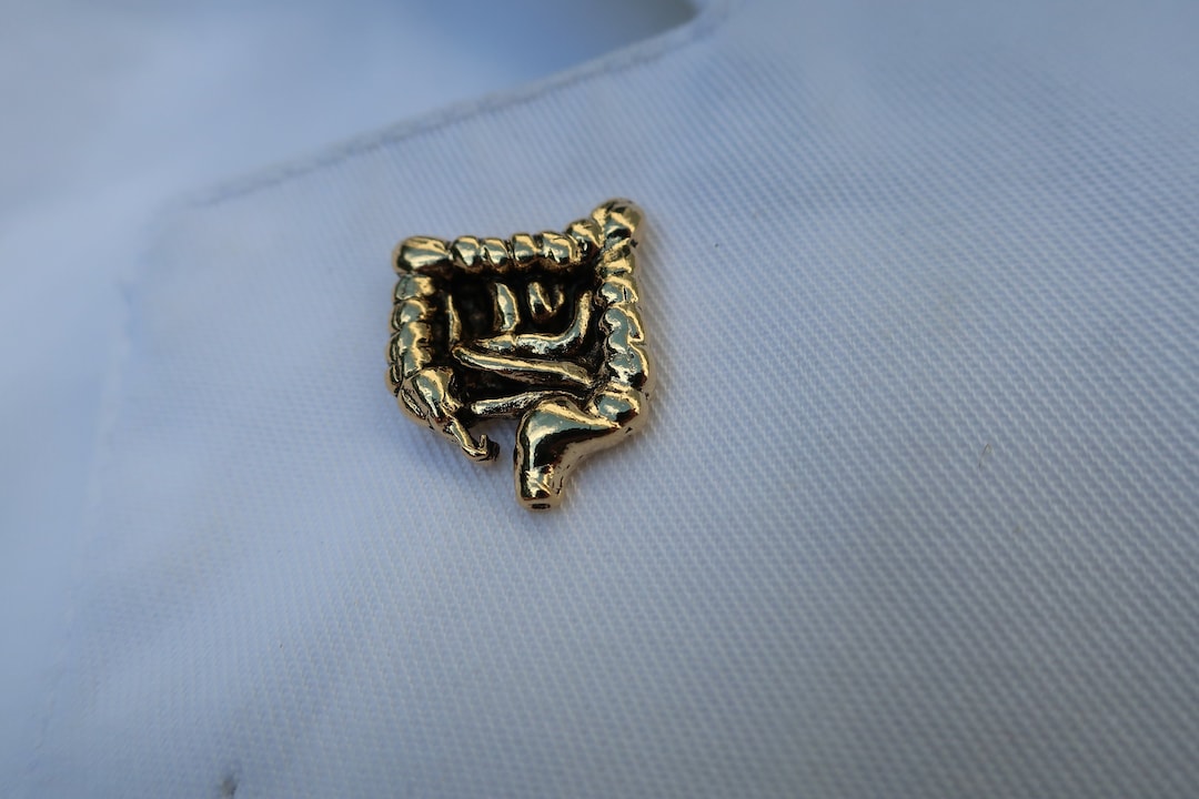 Gold Intestine Lapel Pin- CC346G- Gastrointestinal Pins, Anatomy Pins ...