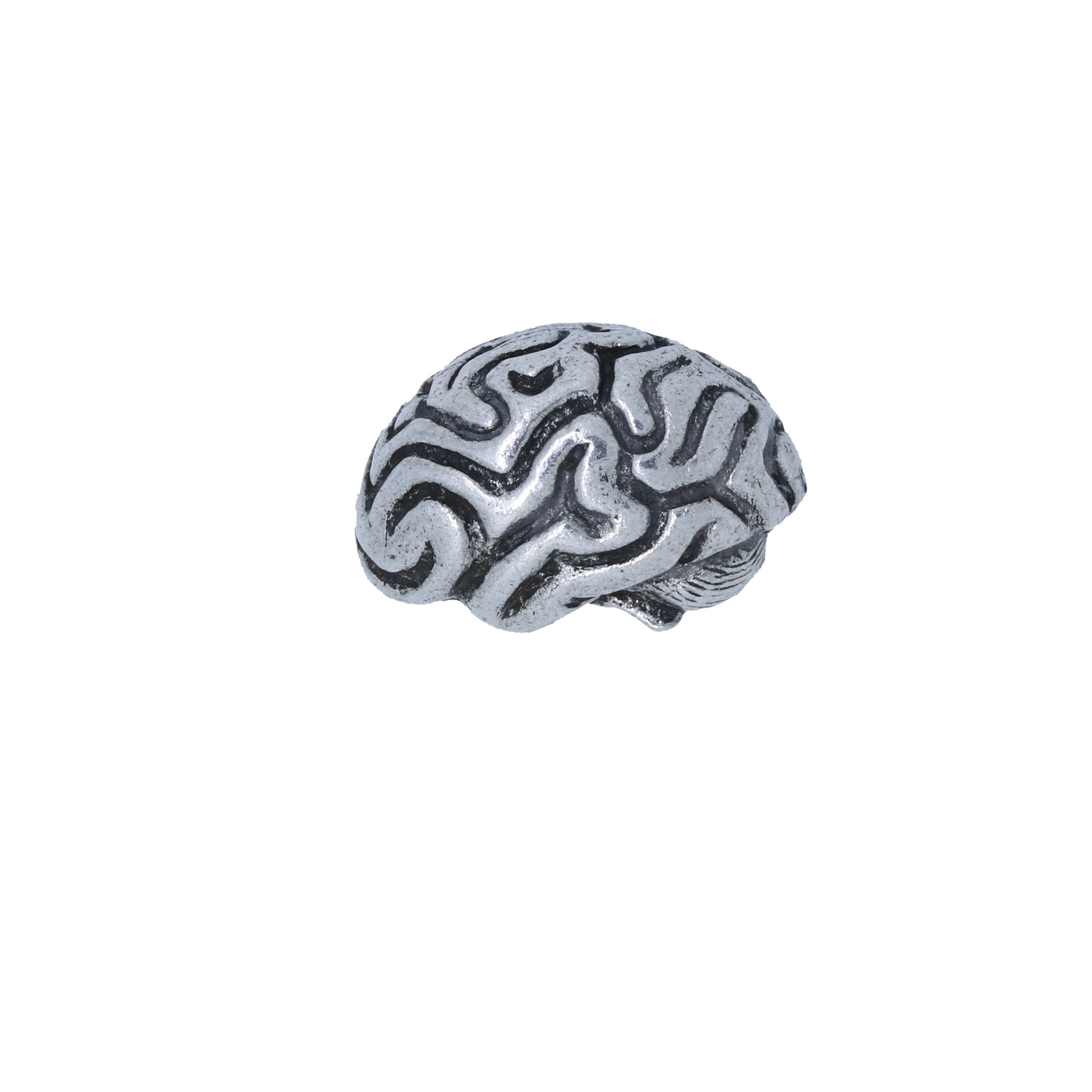 Brain Lapel Pins - CC157- Medical and Anatomy, Neurology Pins for ...