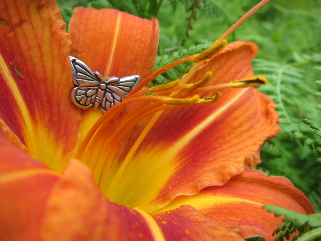 Butterfly Lapel Pin - CC388- Butterflies, Insect, Bug, and Hospice Pins ...