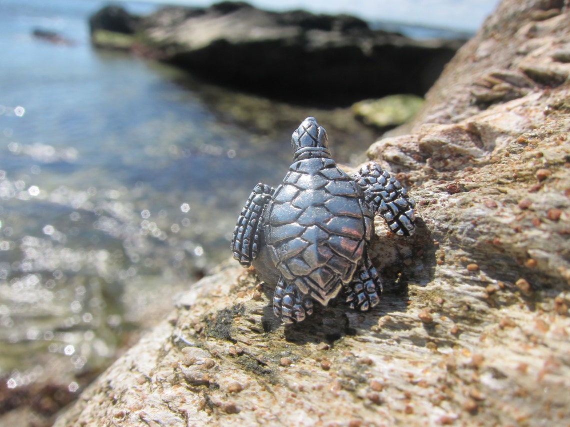 Sea Turtle Lapel Pin CC204 Marine and Aquarium Pins - Etsy