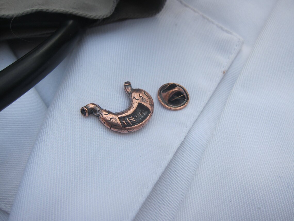 Copper Stomach Lapel Pin- CC619C- Medical and Anatomy Pins- Digestion ...