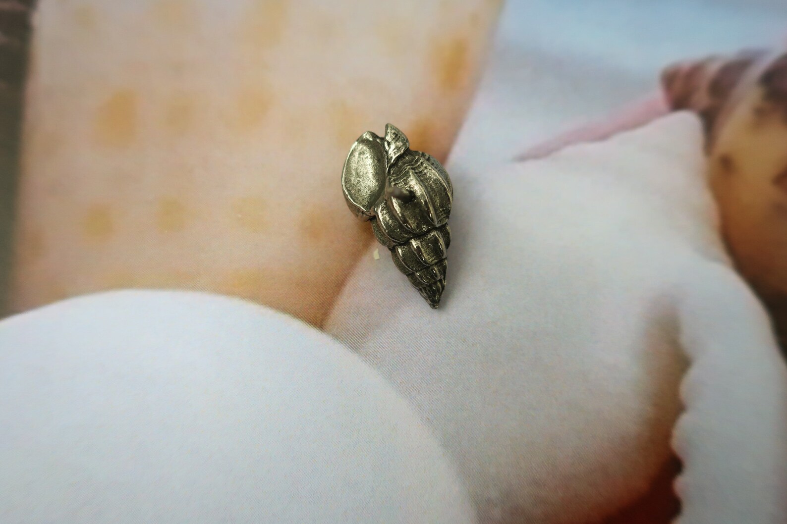 Seashell Lapel Pin CC344 Sea Ocean Beach Shells - Etsy