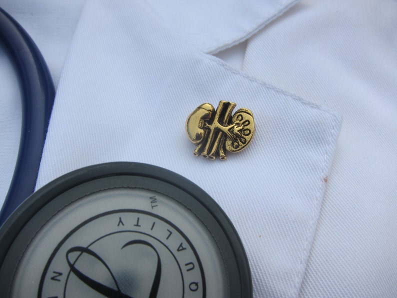 Gold Kidney Lapel Pin CC391G Medical Pins for Nephrology | Etsy