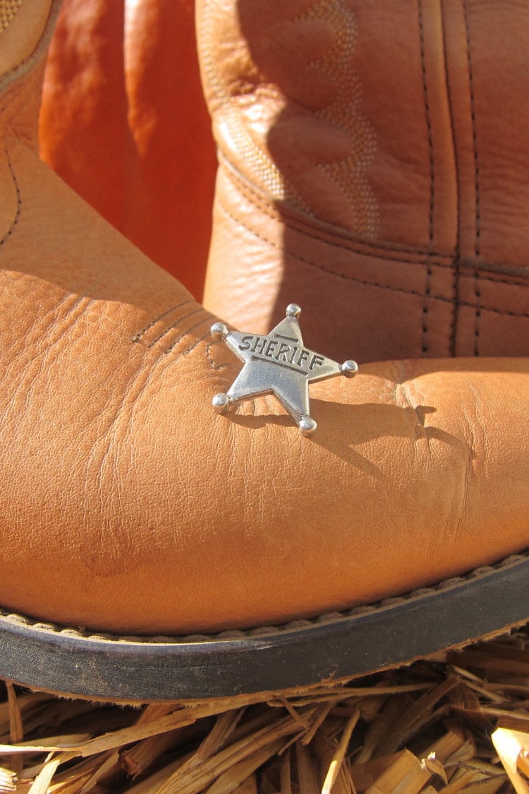 Sheriff Star Lapel Pin - CC556- Sheriff, Law Enforcement, County ...