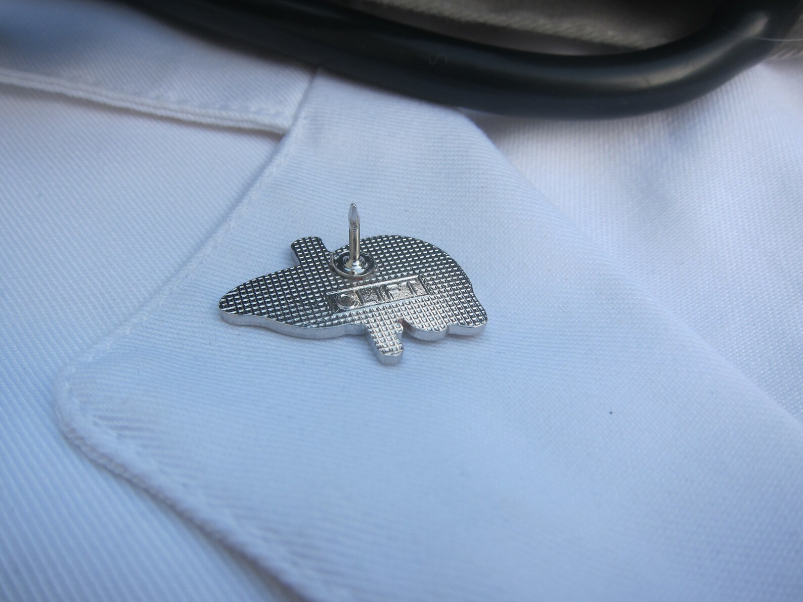 Liver Enamel Lapel Pin EP111 Liver Digestive System Organs - Etsy