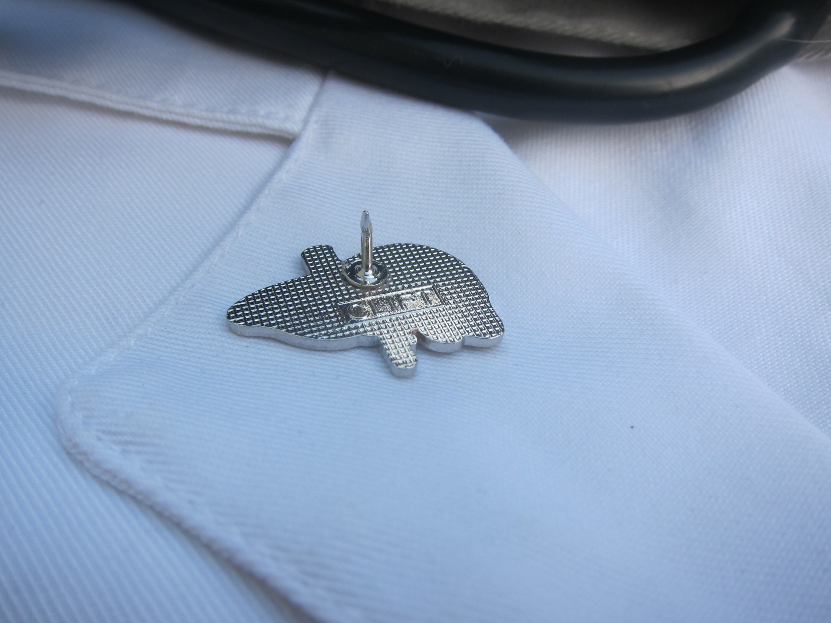 Liver Enamel Lapel Pin EP111 Liver Digestive System Organs - Etsy