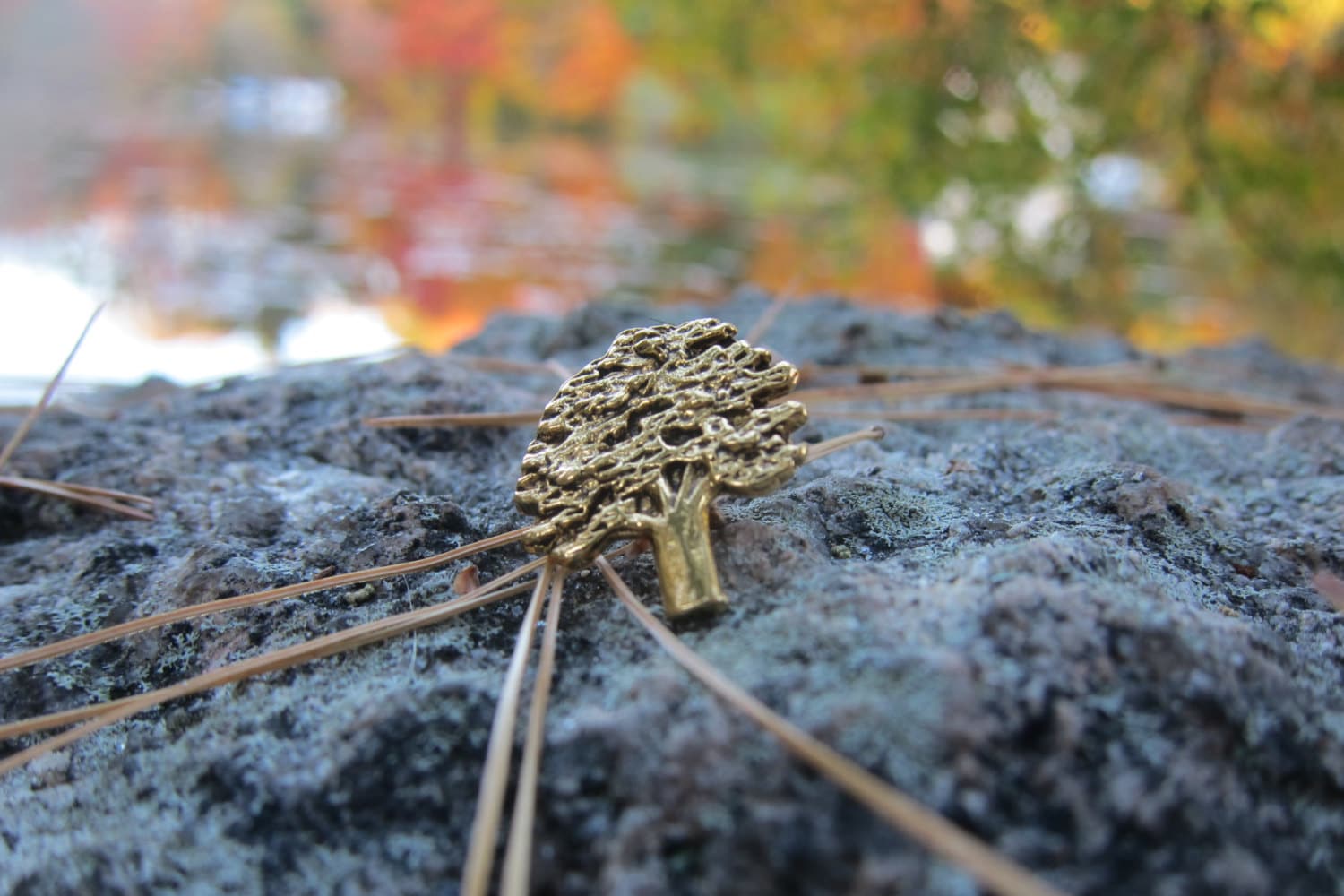 Oak Tree Gold Lapel Pin - CC363G- Oak Tree, Tree, Forestry, Woods ...