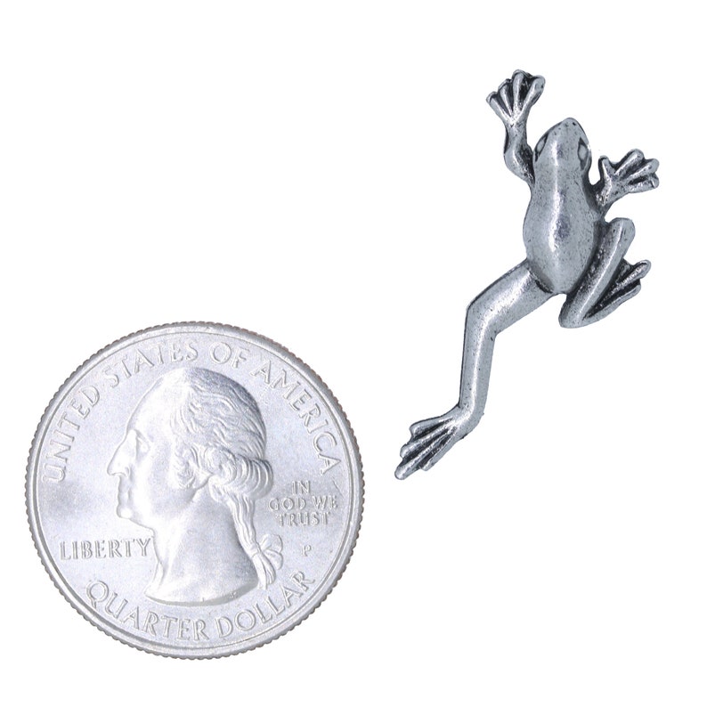 Frog Lapel Pin-cc169, Amphibean, Rainforest, Toad, Tadpole, and ...