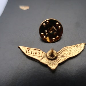 Gold Pilot Wings Lapel Pin-cc497g- Aviation Pins for Pilots, Airplanes ...