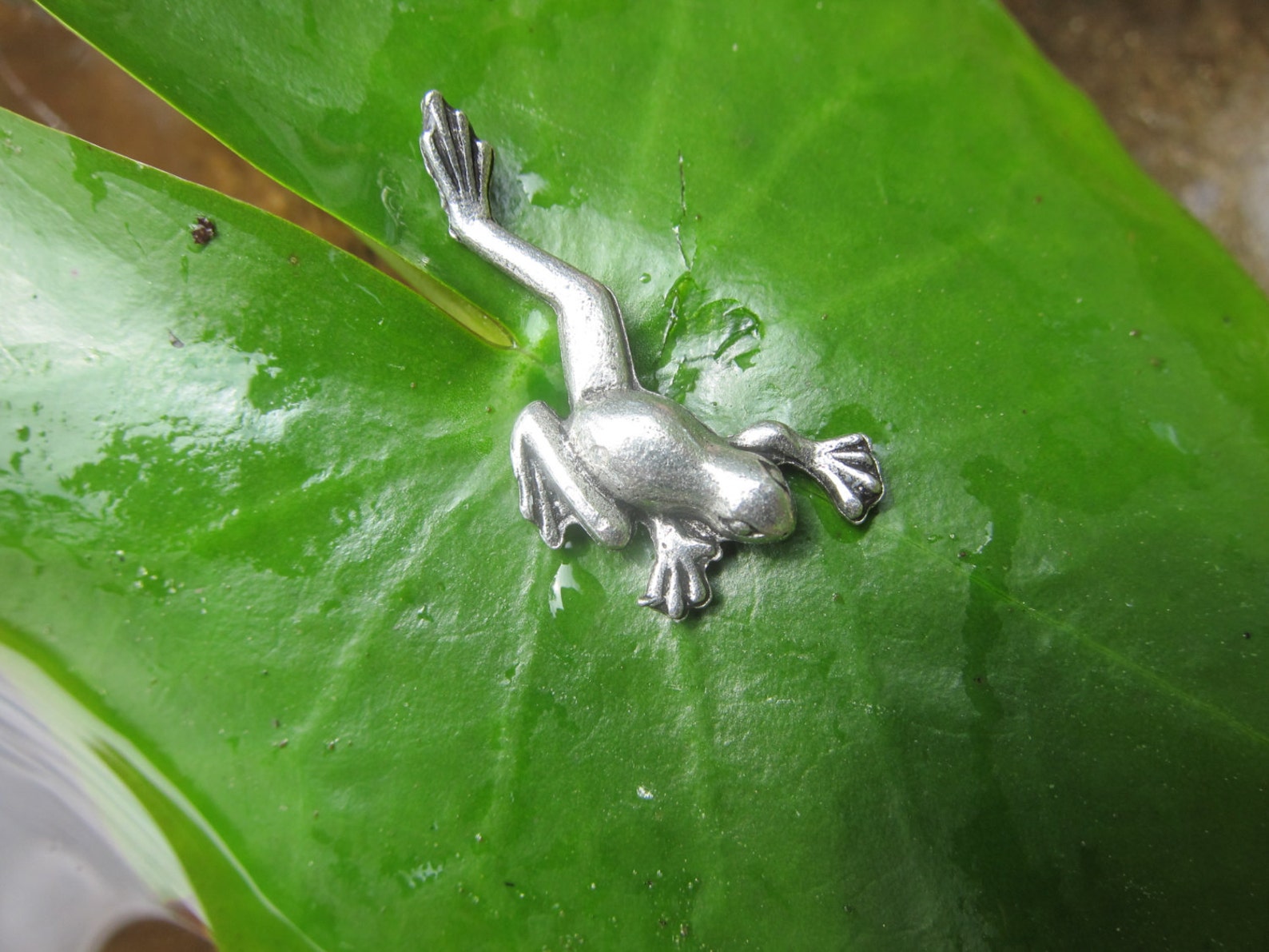 Frog Lapel Pin-cc169, Amphibean, Rainforest, Toad, Tadpole, and ...