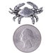 Blue Crab Pewter Lapel Pin CC707 Shellfish, Fisheries, Crabs, and ...