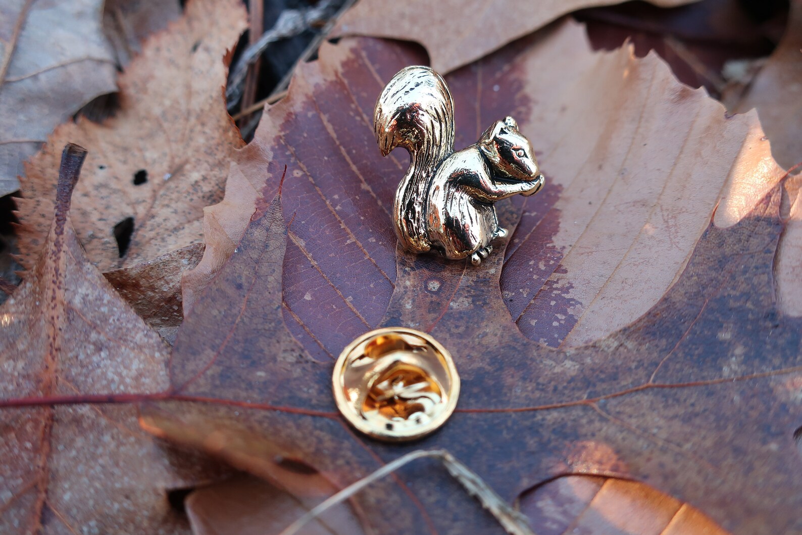 Squirrel Gold Dipped Pewter Lapel Pin CC499G Squirrel, Woodland, and ...