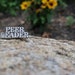 Peer Leader Lapel Pin- CC592- Peer, Employee, Volunteer, and Student ...