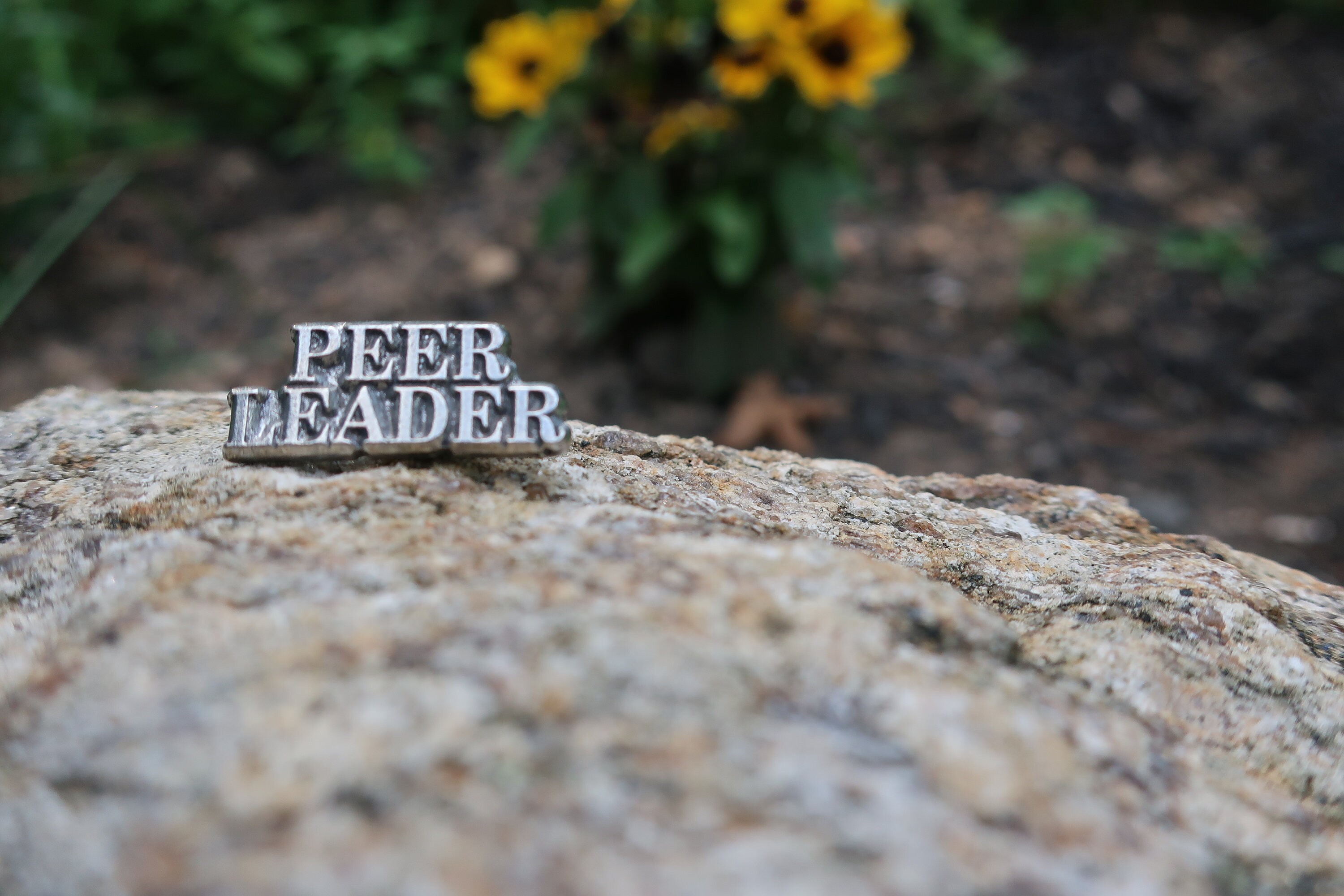 Peer Leader Lapel Pin CC592 Peer Employee Volunteer and | Etsy