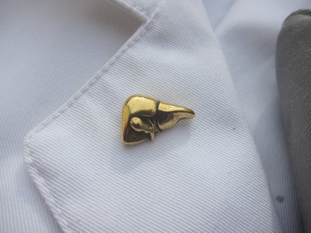 Gold Liver Lapel Pin- CC519G- Medical and Anatomy Pins for Doctors ...