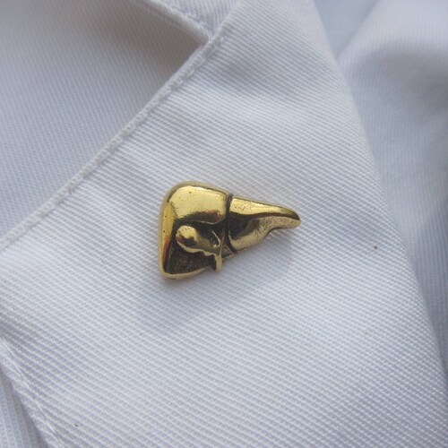 Copper Liver Lapel Pin CC519C Medical and Anatomy Lapel Pins - Etsy