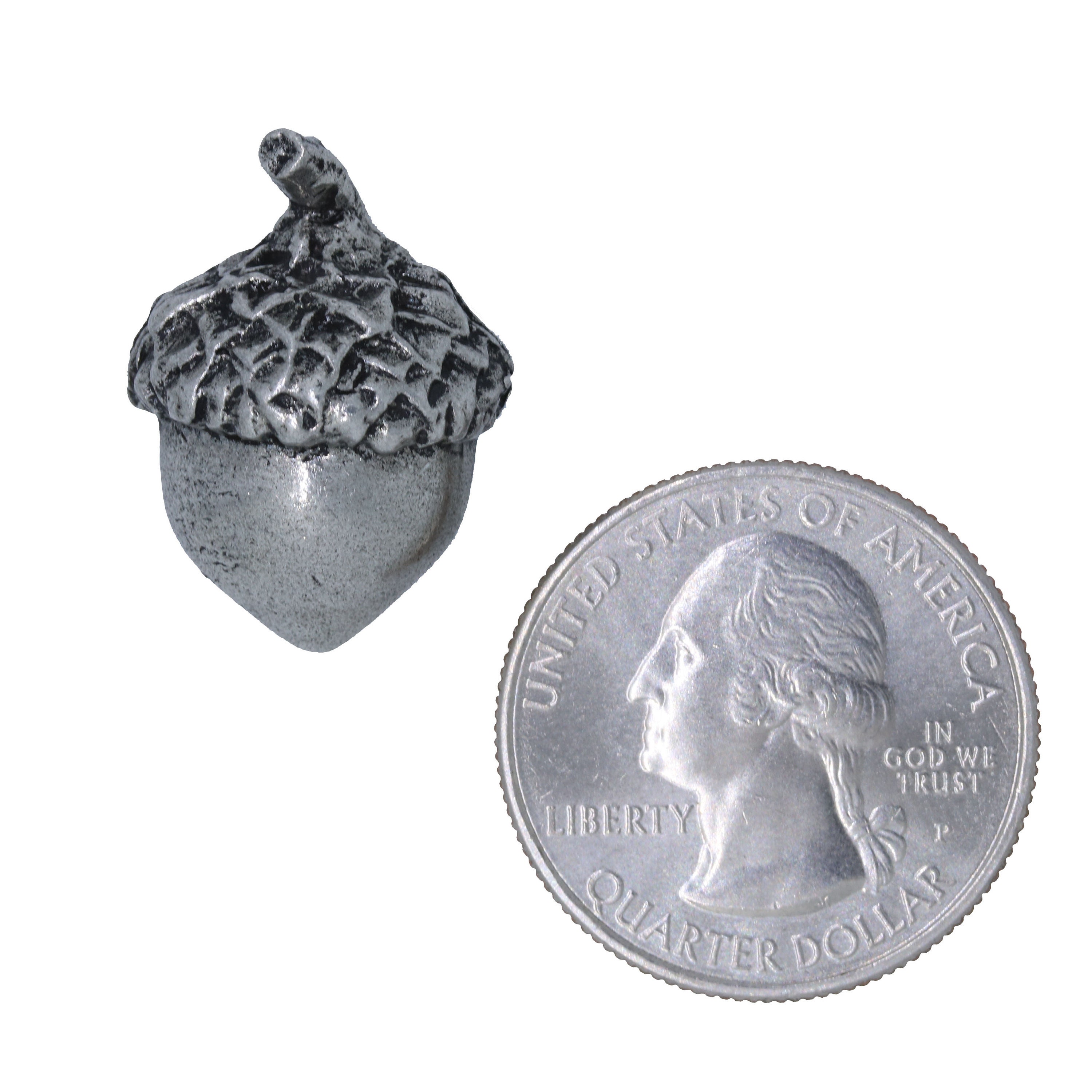 Acorn Lapel Pin CC292 Oak Nut Oak Tree Seeds and | Etsy