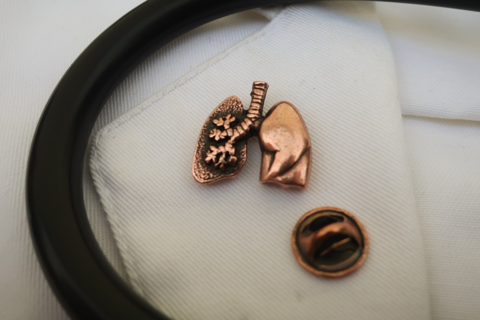 Copper Lung Lapel Pin-CC390C Medical and Anatomy Respiratory | Etsy