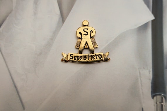 Sepsis Hero Gold Dipped Pewter Lapel Pin CC677G Recognizing | Etsy