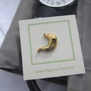Gold Stomach Lapel Pin- CC619G- Medical and Anatomy Pins- Digestion and ...