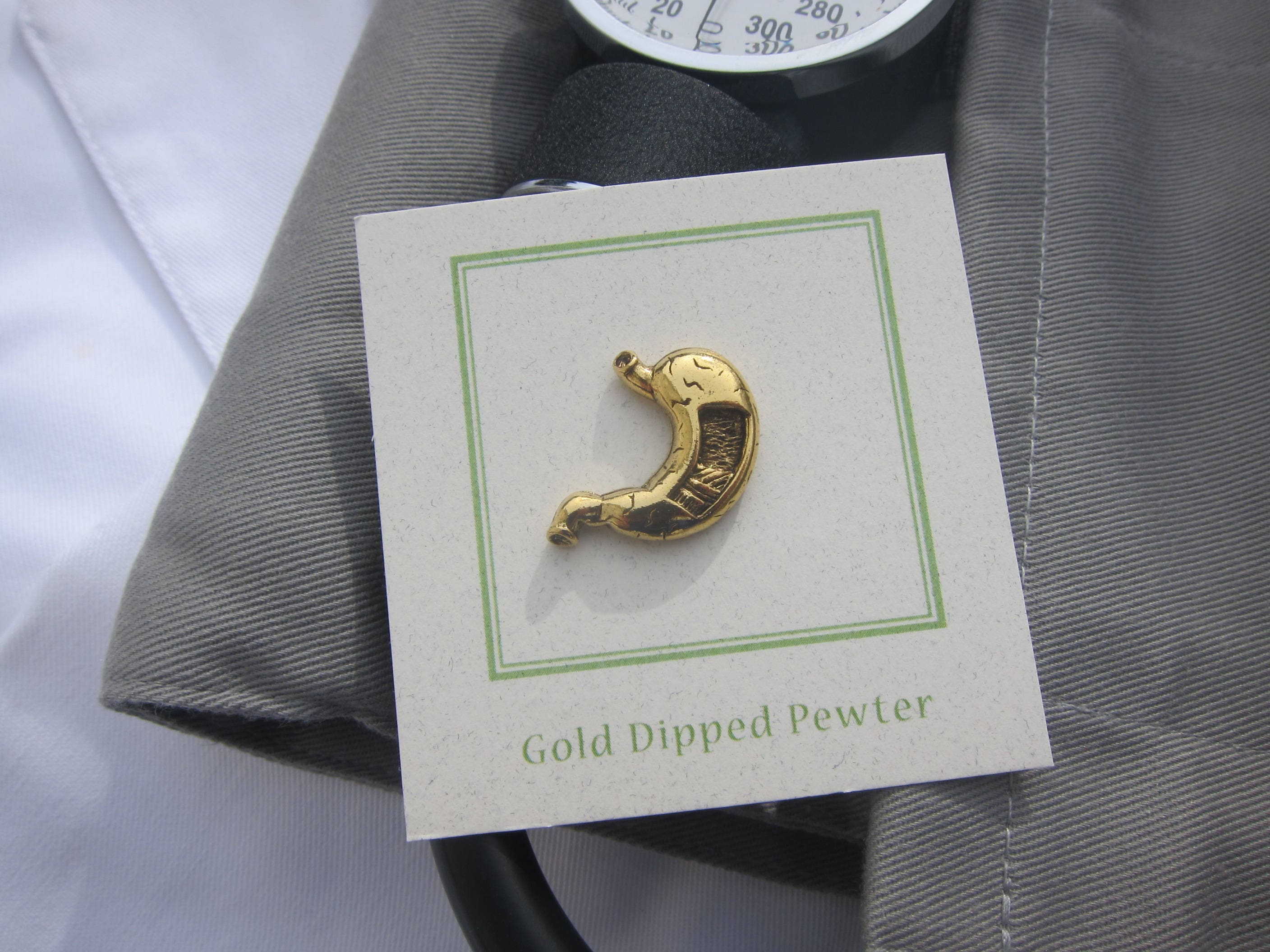 Gold Stomach Lapel Pin CC619G Medical and Anatomy Pins - Etsy Sweden